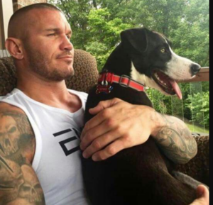 Randy Orton: explorando el patrimonio neto, la edad, la familia y la altura